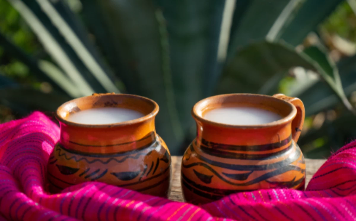 Pulque, el néctar de los dioses Articulos y tips de viaje sobre Pueblos ...